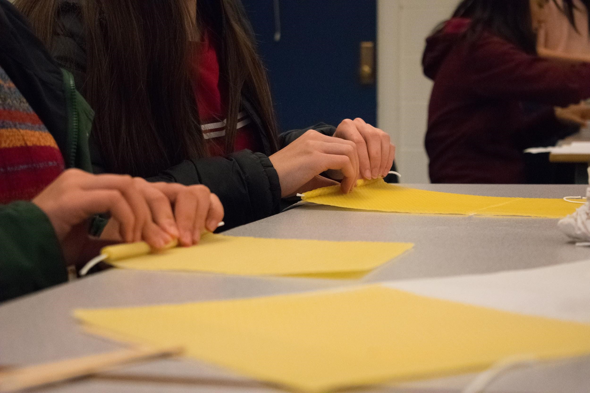 Windermere Secondary students host annual climate change conference